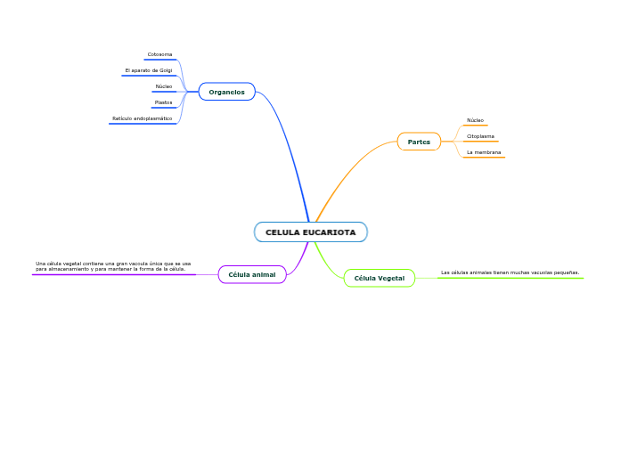 CELULA EUCARIOTA - Mind Map